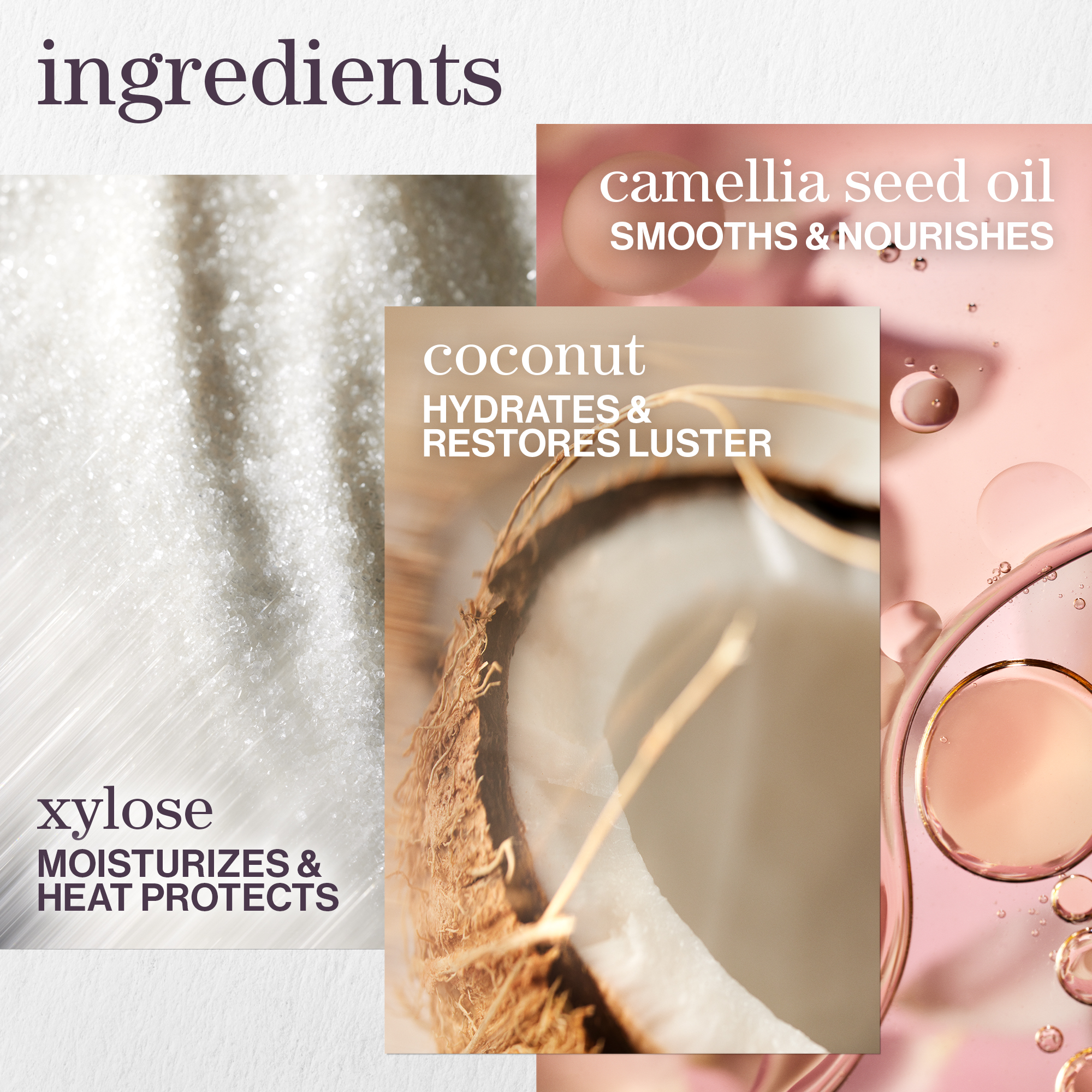 Pureology Color Fanatic Multi-Benefit Leave-in Treatment